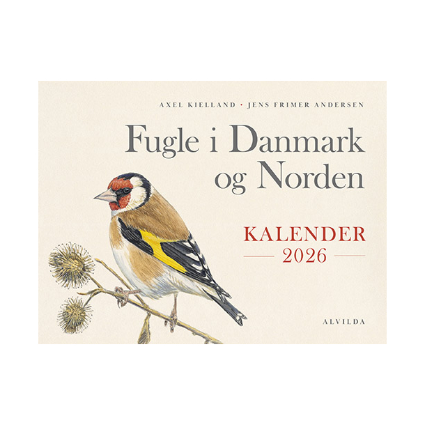 Fugle i Danmark og Norden - Kalender 2026 - Kalendere 2026 - Martensens Boghandel