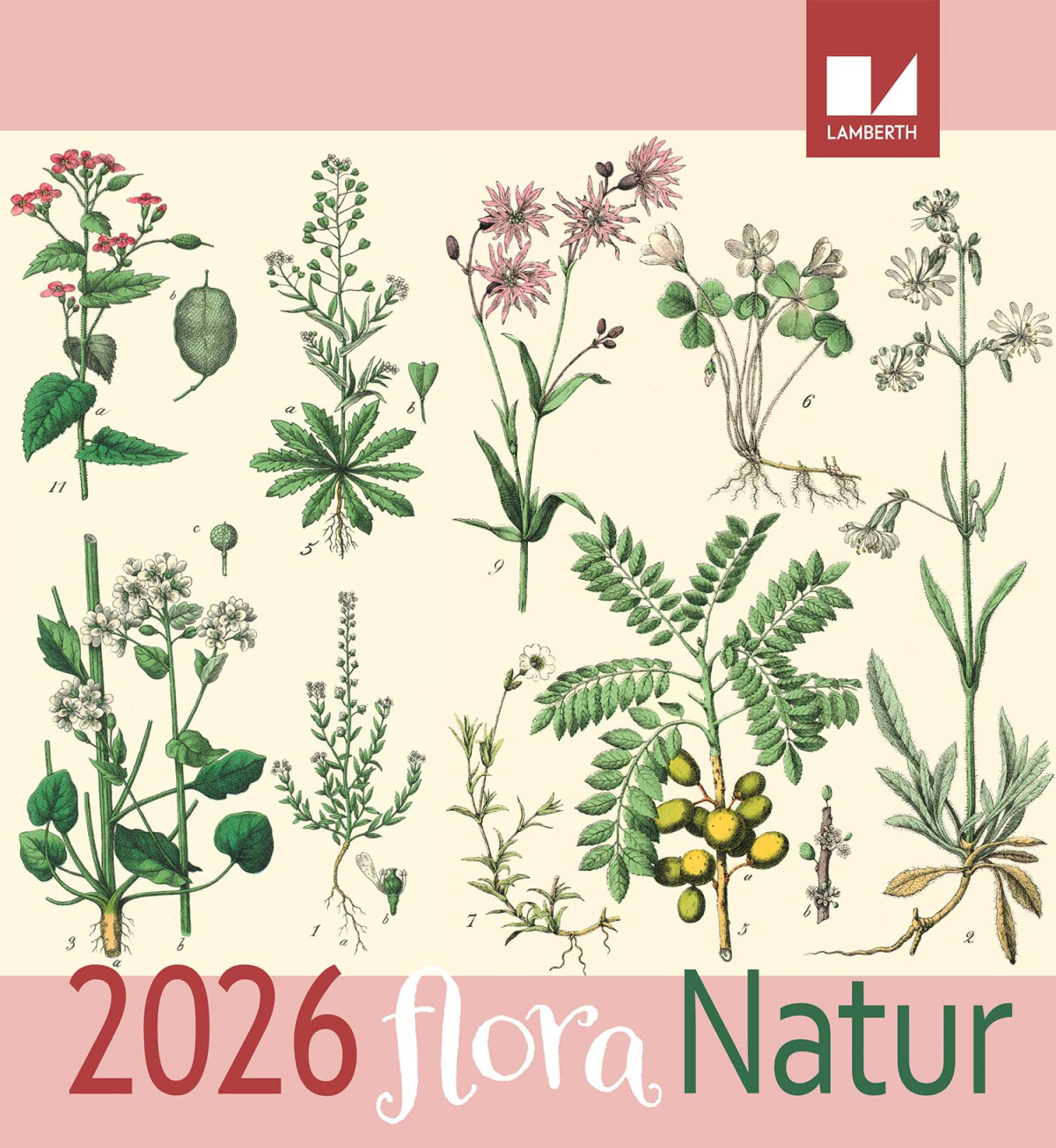 Flora kalender 2026 - Kalendere 2026 - Martensens Boghandel